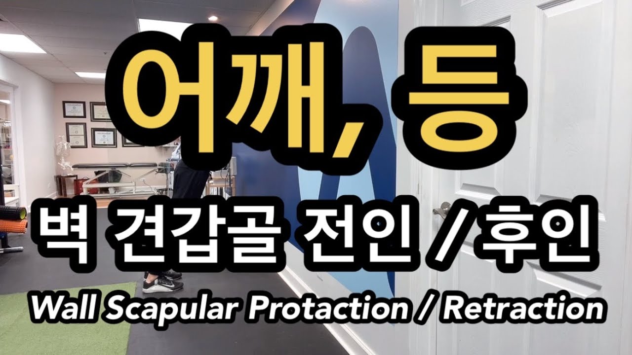 (어깨, 등) 벽 견갑골 전인 / 후인 (Wall Scapular Protraction / Retraction) - YouTube