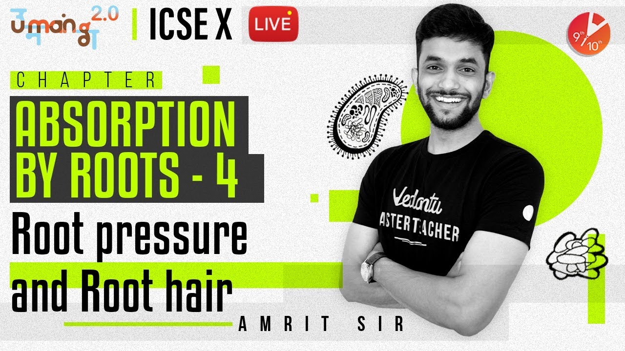 Absorption by Roots L4 | Root Pressure and Root Hair | ICSE Class 10 ...