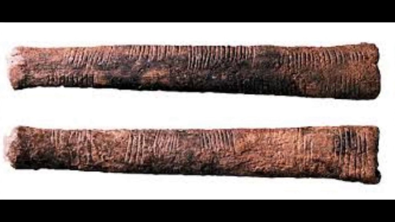 L' Os de Lebombo, l'un des plus anciens témoignages de calcul numérique ...