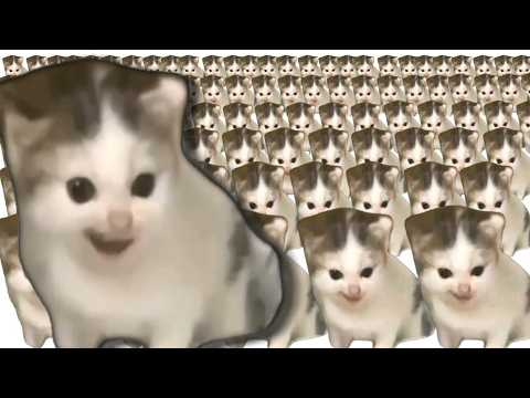 German Cat Meme x1000000000000