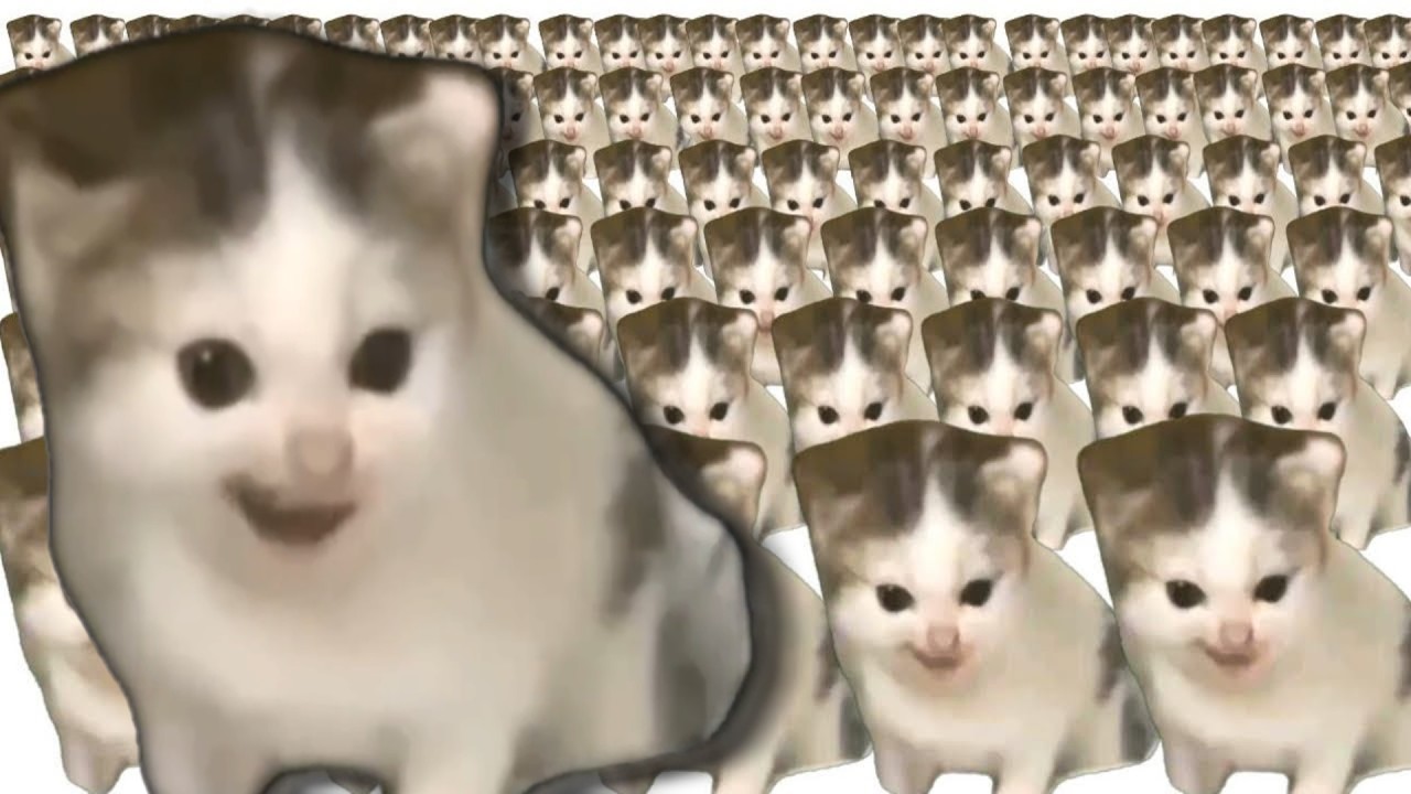 German Cat Meme x10000000 - YouTube