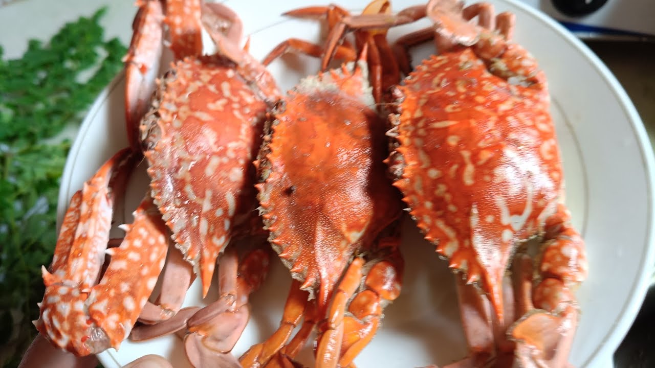 SEAFOODS Recipes | Mga simpleng ulam sa probinsya - YouTube