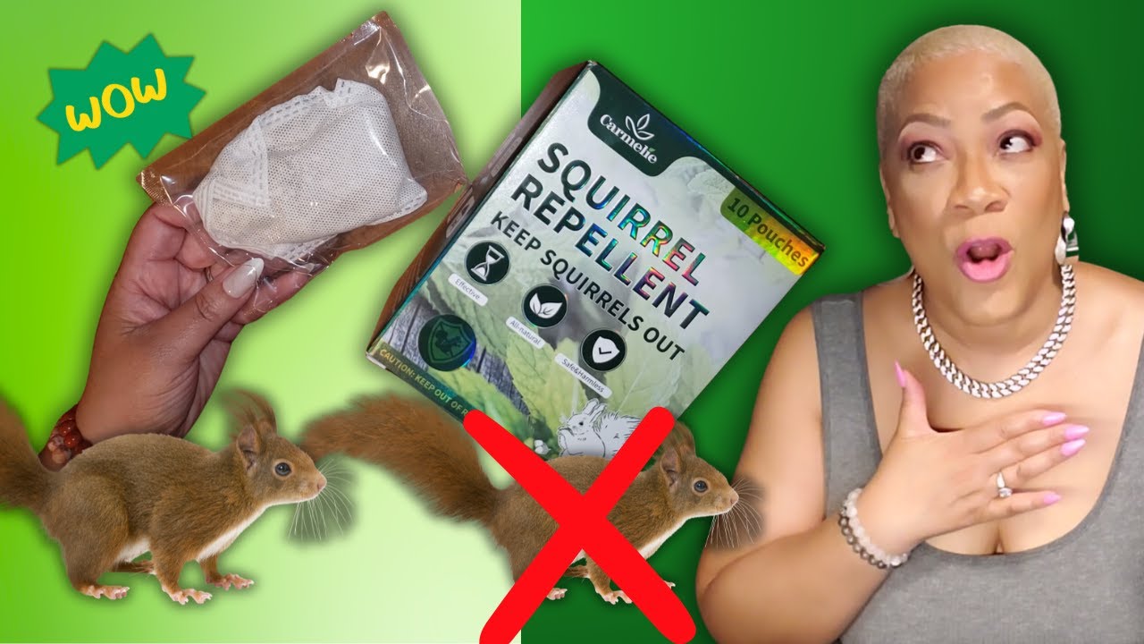Say Goodbye to Squirrel Problems with This All-Natural Repellent! | HOW TO - YouTube