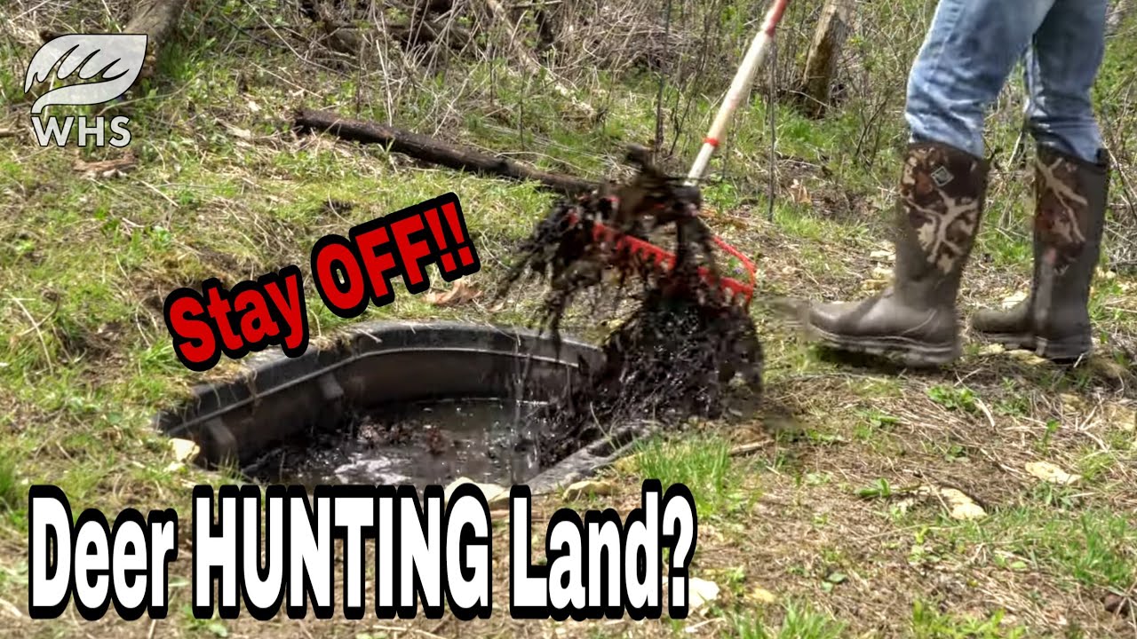 #1 Deer Hunting and Habitat Lie? - YouTube
