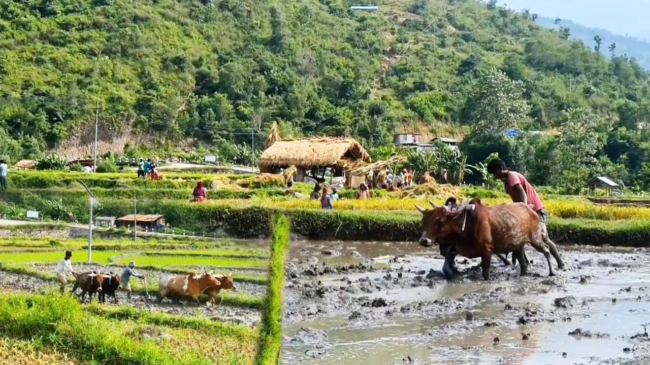 Discovering the secret of living in balance with nature in Nepal ...