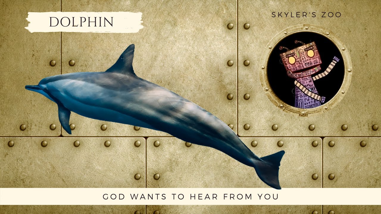 Skyler and the dolphin - YouTube
