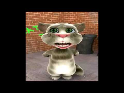 Talking Tom Maral maral maral