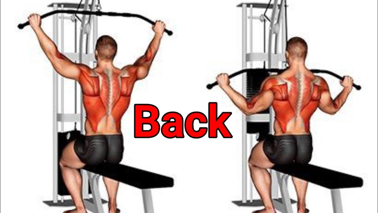 wider back workout At gym | back exercise At Gym | Bigger back workout ...