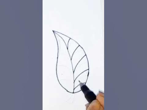 HOW TO DRAW A LEAF EASY || AUTUMN 🍁 LEAF DRAWING || STEP BY STEP ...