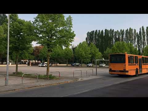 Inbus + Solaris Actv Venezia 🧡