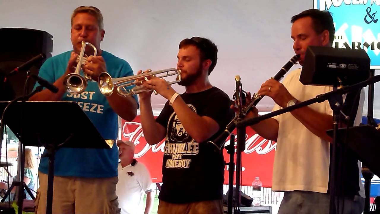 You're My Baby Polka - Roger Majeski - 2013 Pulaski Polka Days - YouTube