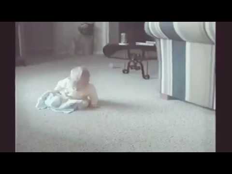 Funny Baby - En tatlı bebekler