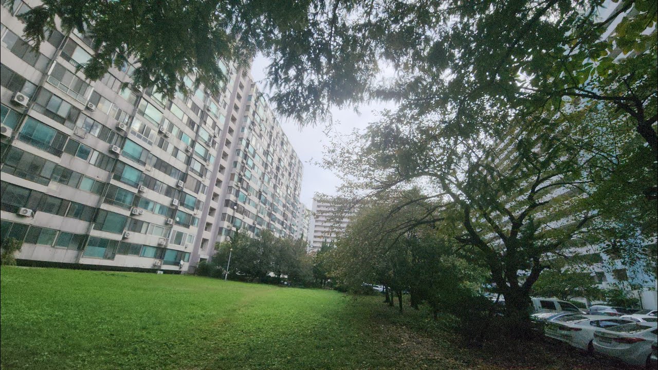 20대에 월천버는법 퇴사하고 월급 두배된법 이런 개소리에 넘어가면 인생 조진다 하루 1~4시간 일하고 경제적 자유퇴사월급경제적 자유인생 Youtube