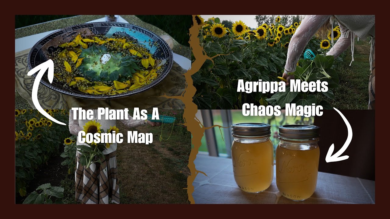 Real Occult Flower Magick, Essences, A Solar Ritual For The Harvest ...