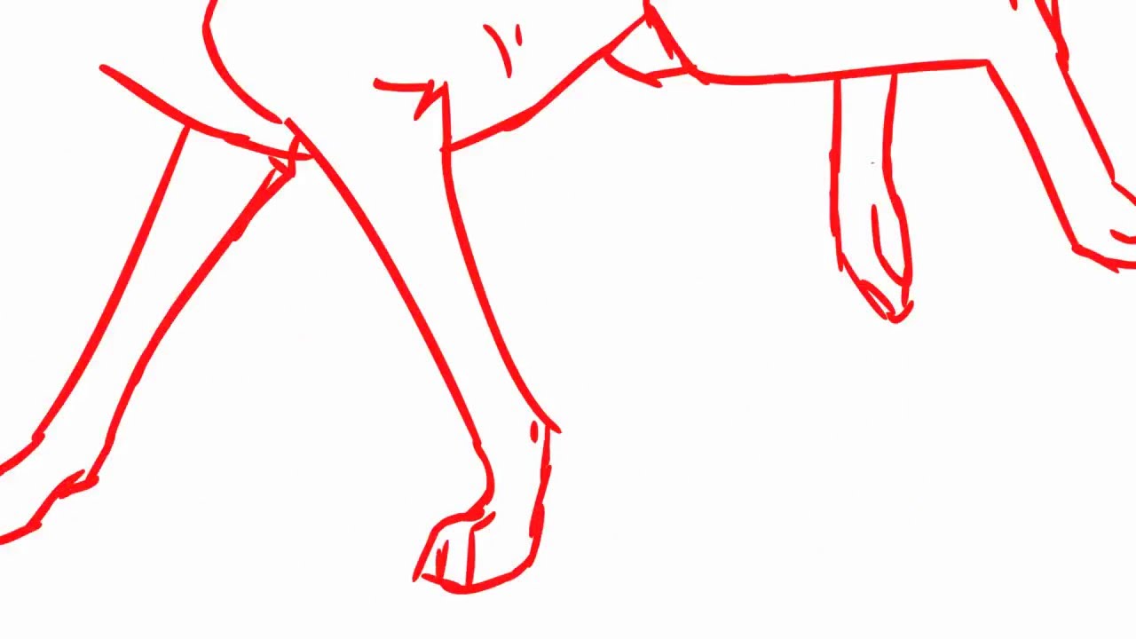 Wolf/Lux run cycle - YouTube