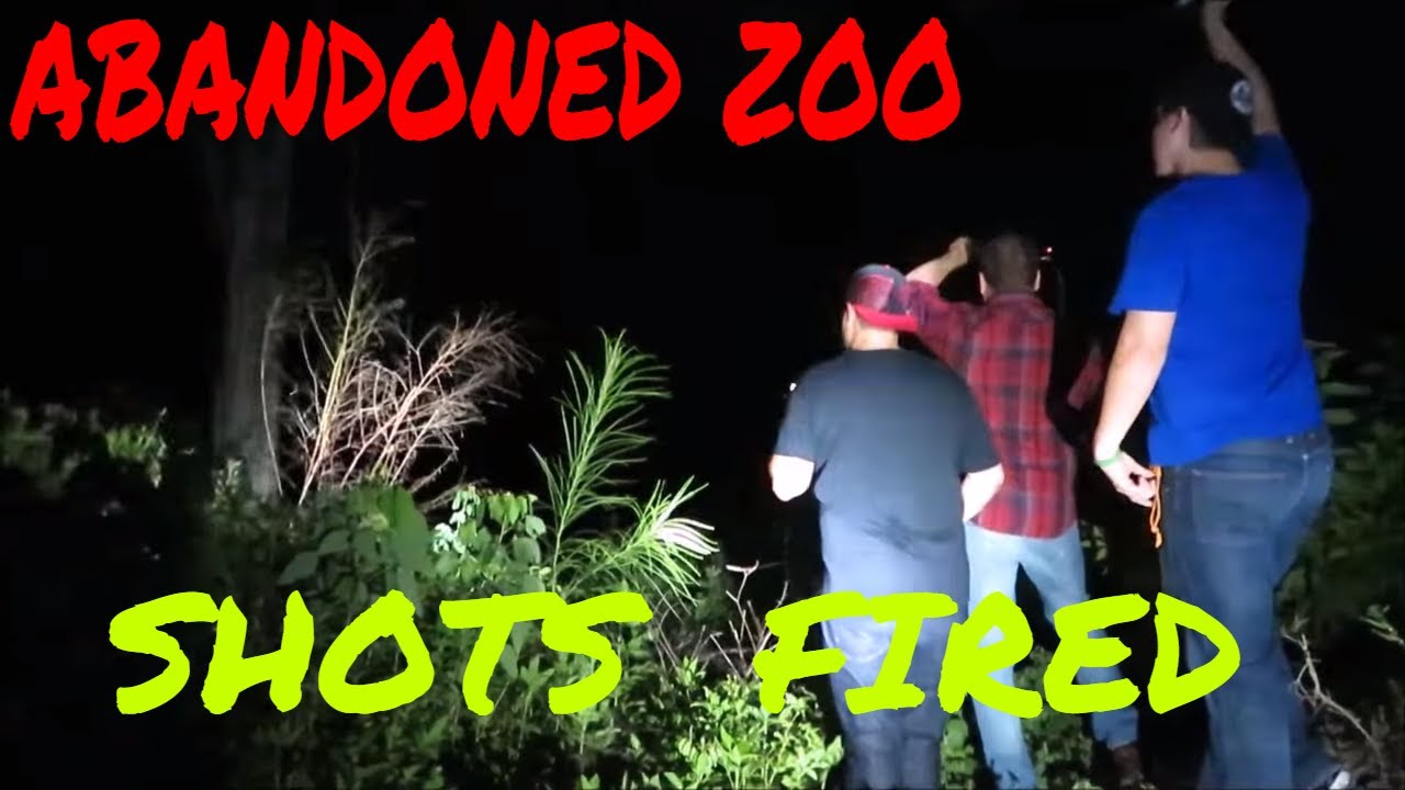 3AM ABANDONED HAUNTED ZOO, "SHOTS FIRED AT CLOSE RANGE" - YouTube