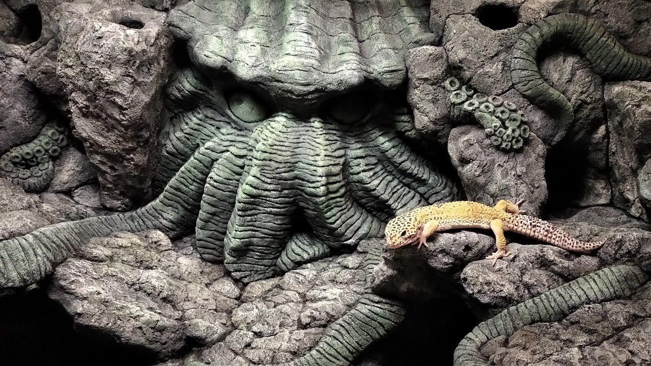 Cthulhu Themed Terrarium For A Leopard Gecko! - YouTube