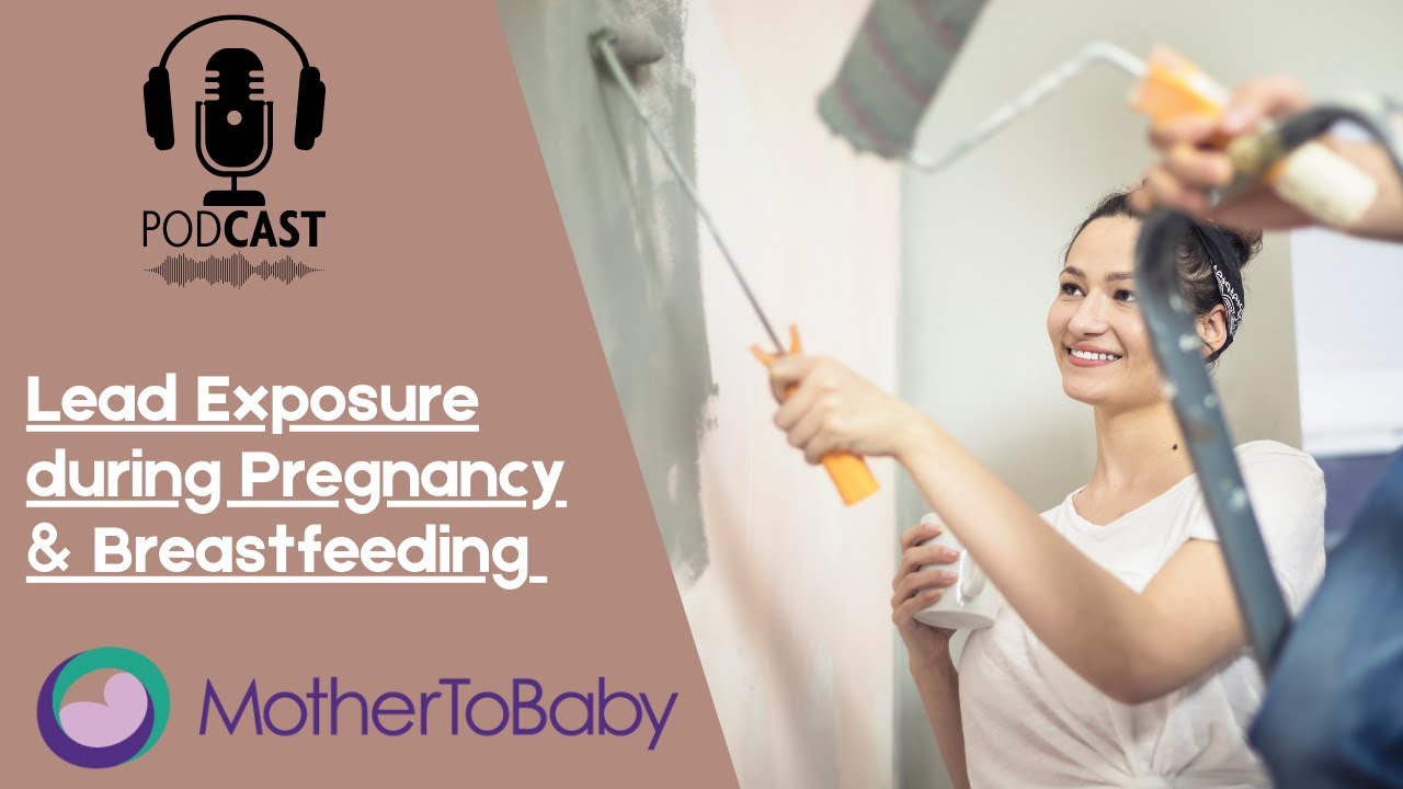 Ep. 39: Lead Exposure during Pregnancy and Breastfeeding-The ...