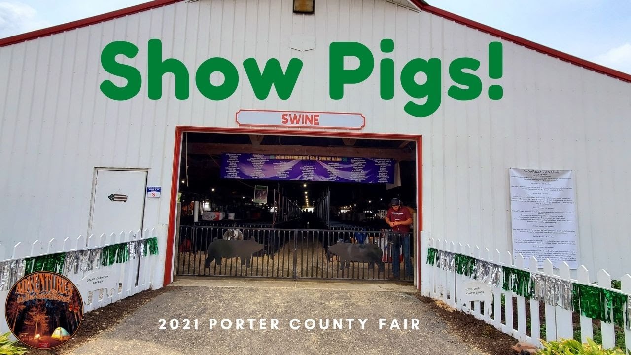 Porter County Fair Swine Barn 2021 - YouTube