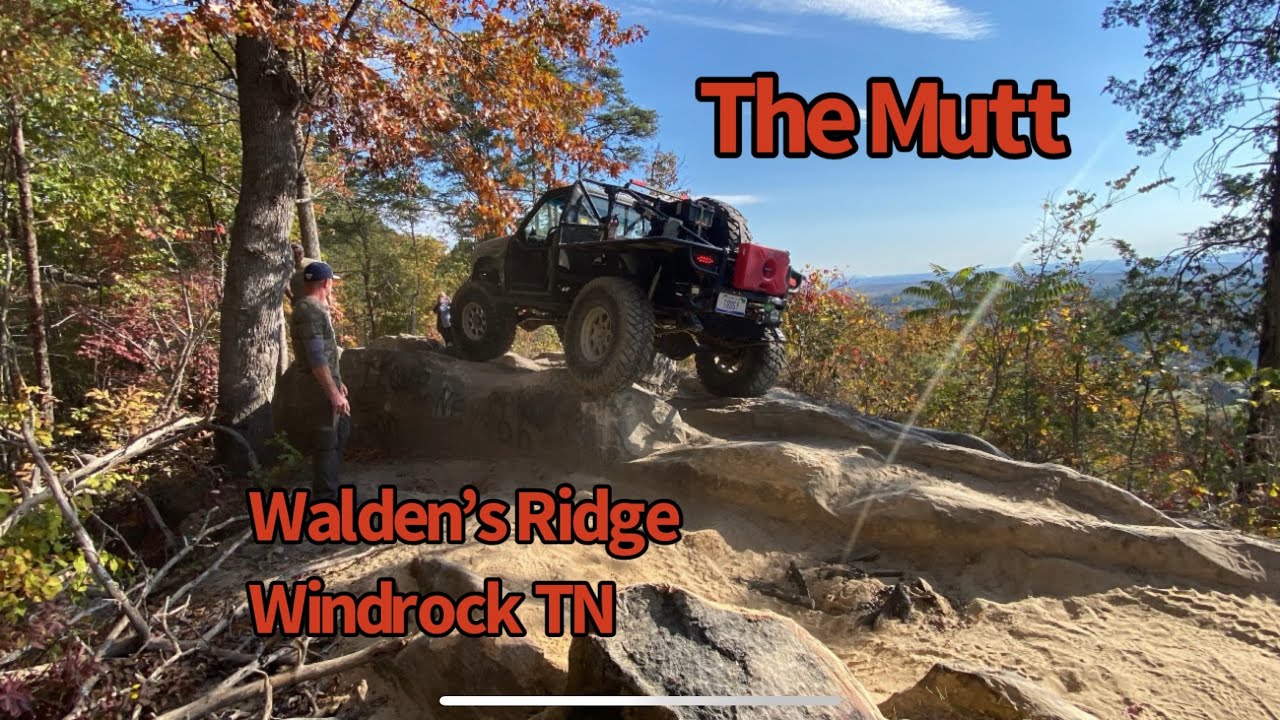 Windrock Teaser vid! Trail 75 - YouTube