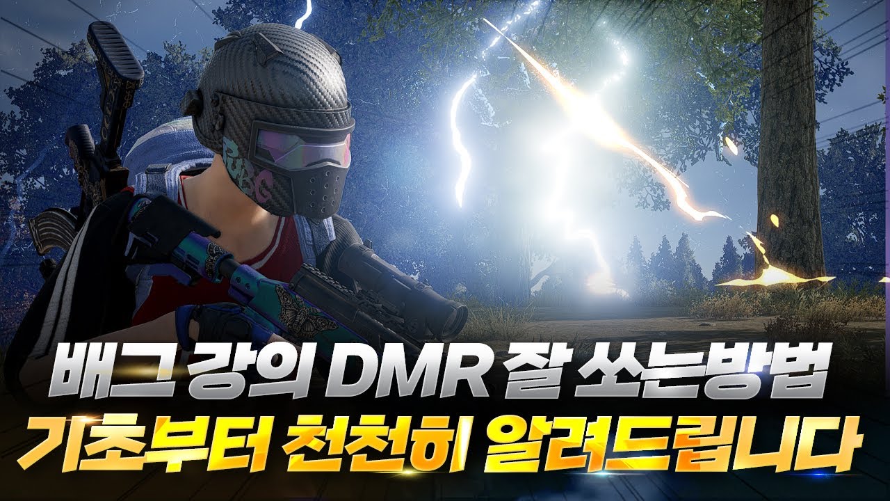 2023 배그 강의 Dmr 잘 쏘는방법 기초부터 천천히 알려드립니다 배그 초보자 가이드 해묵 Youtube