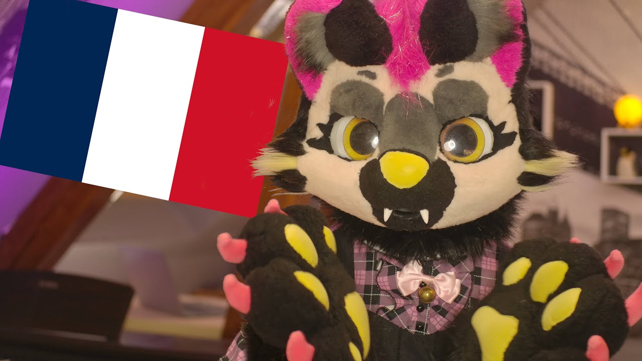Furry Asmr Mots En Français 🇫🇷 Youtube