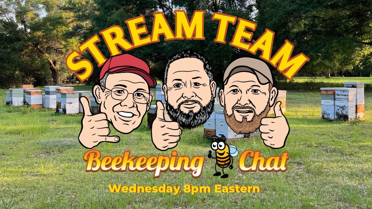 STREAM TEAM BEEKEEPING CHAT - Let's Talk Bees & More - YouTube