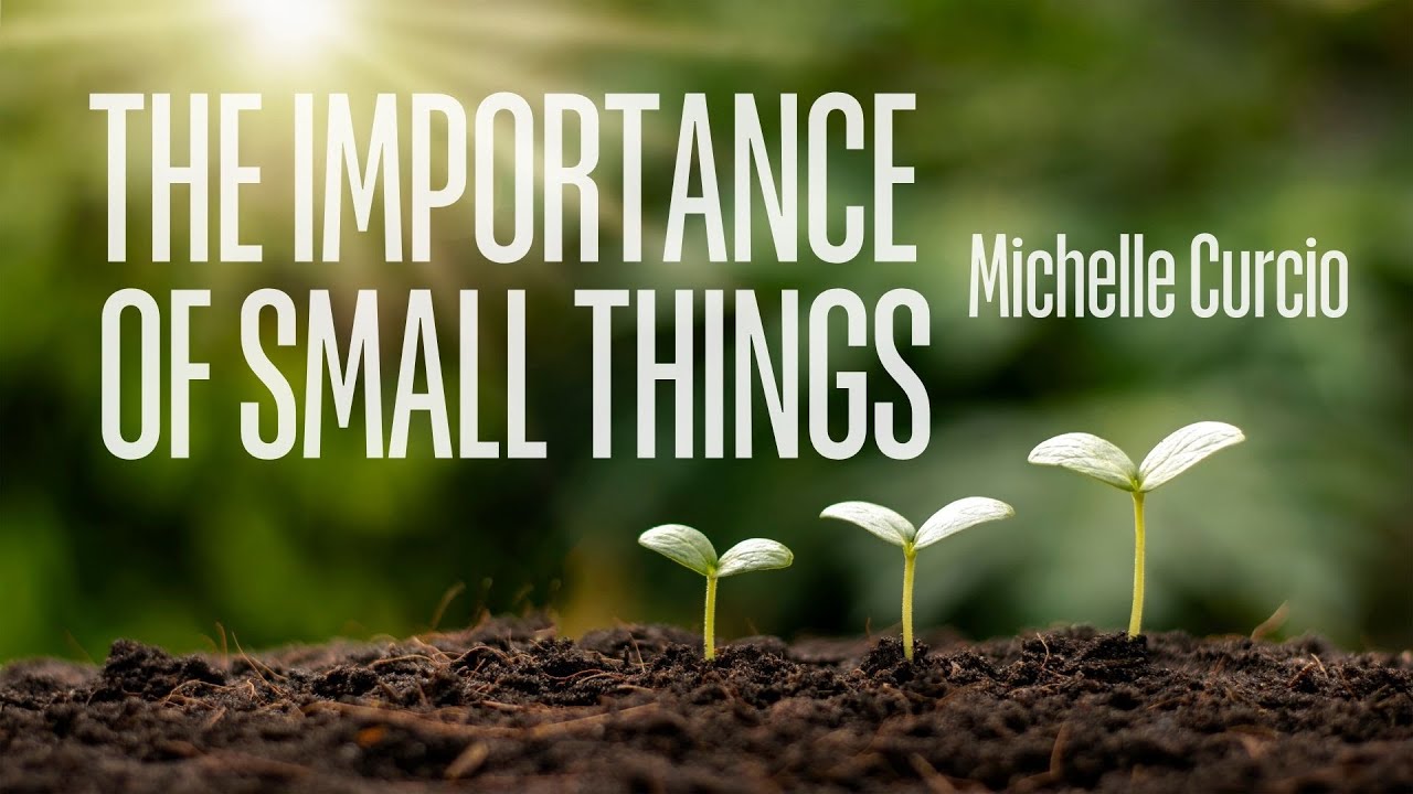 The Importance of Small Things | Michelle Curcio - YouTube