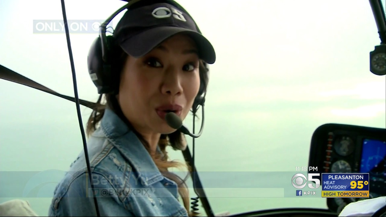 KPIX 5 Betty Yu: Increase in Shark Sightings - YouTube