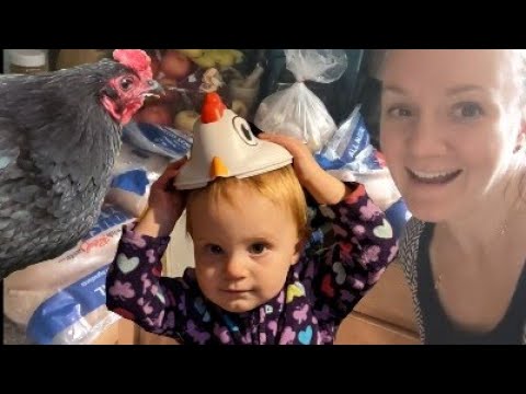 Preserving 50 Pounds of Chicken! Feb 2023 - YouTube