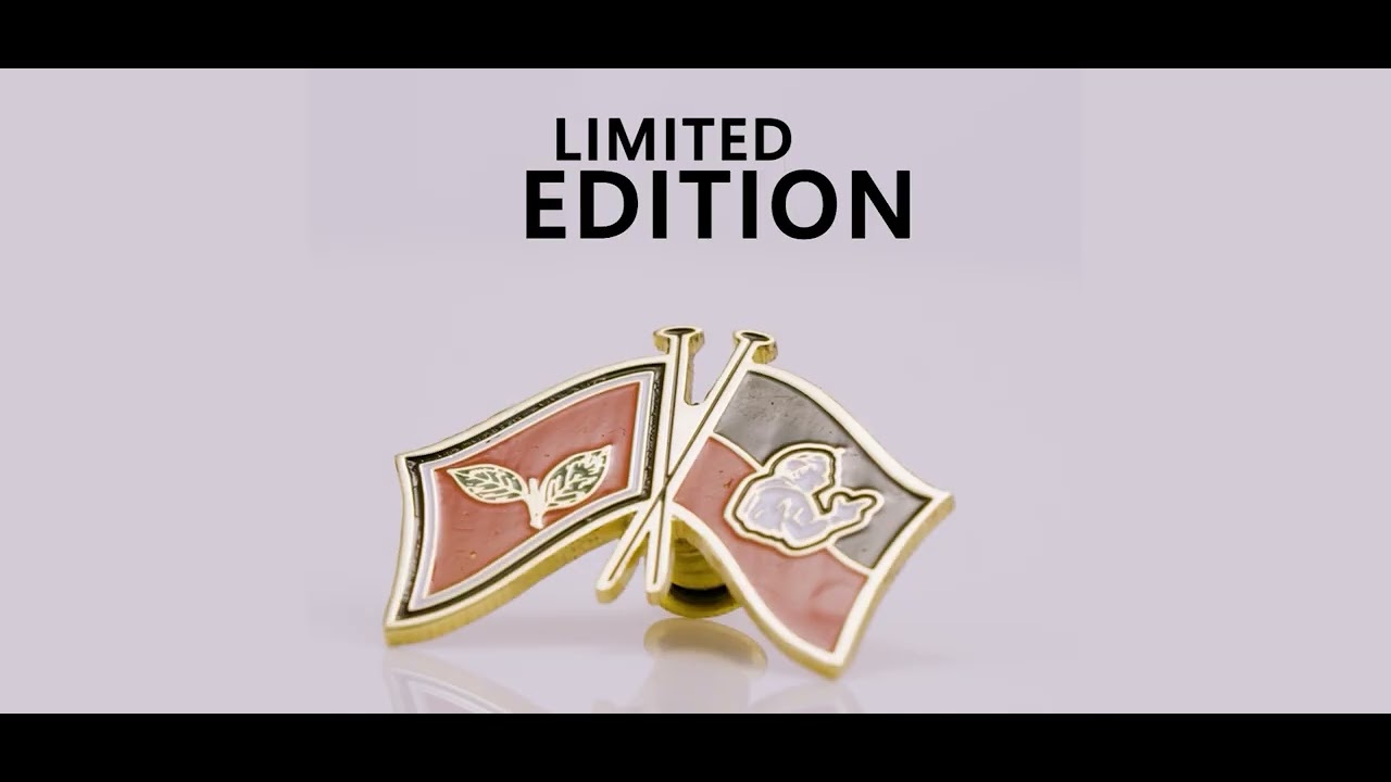 ADMK Golden Shield | 18K Gold Plated Political Party Badge | Available ...