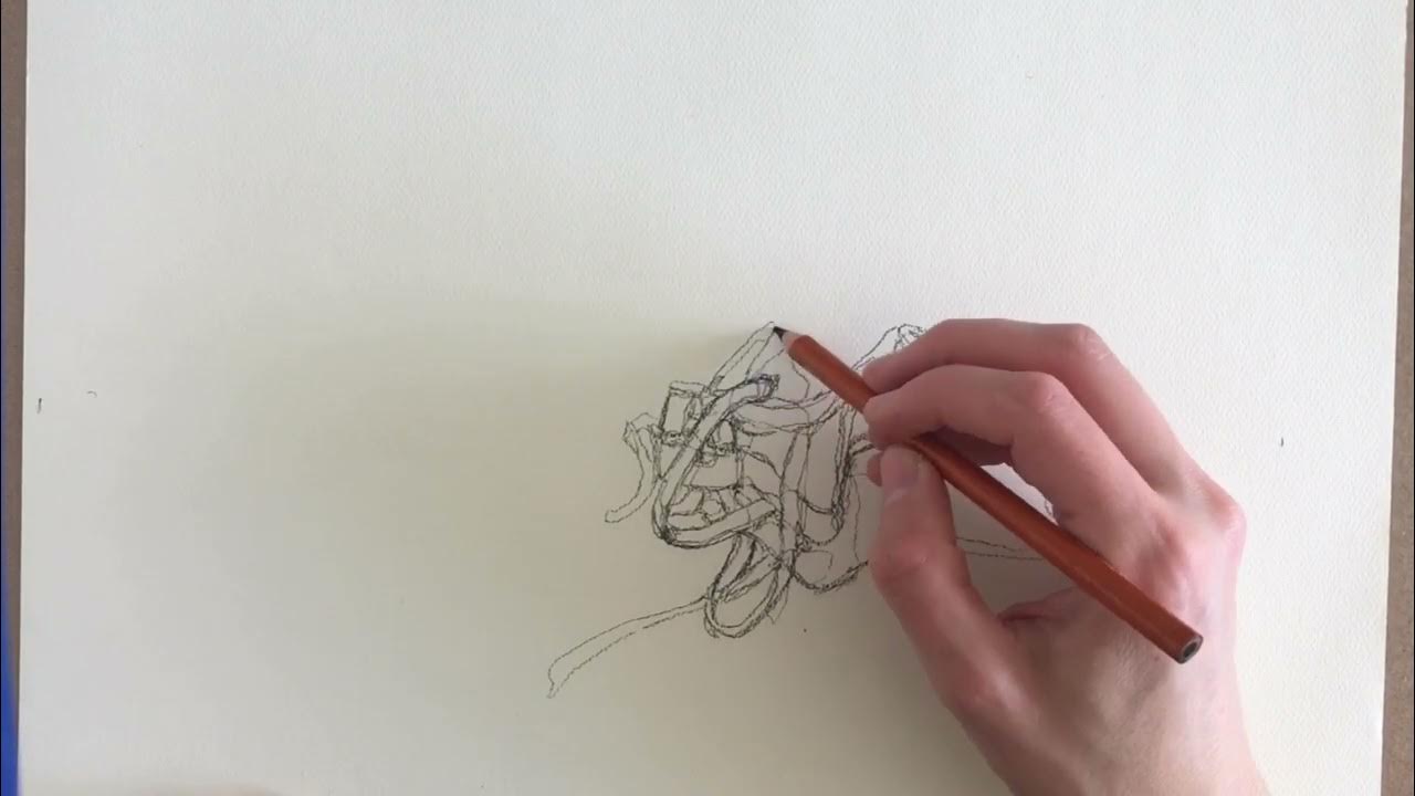 Continuous Line Drawing - YouTube