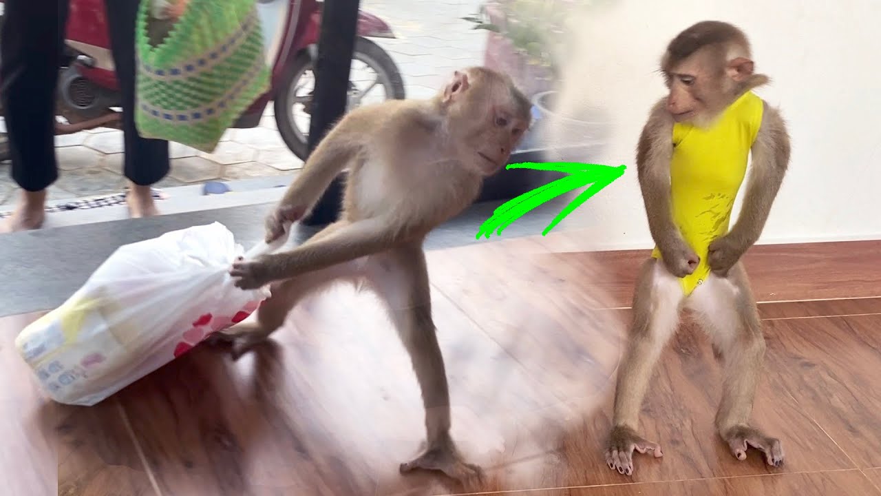 Judee With Big MucIes Sh0w Off, ThorougIy Daily W0rk0uts - YouTube