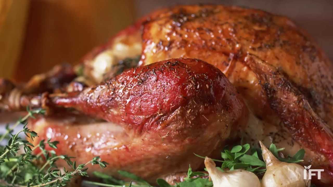 Food Facts: What are the different types of turkey? - YouTube