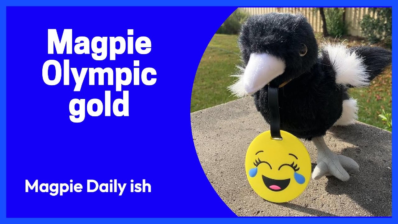 Australian Magpie wins gold in Olympic swooping competition - YouTube