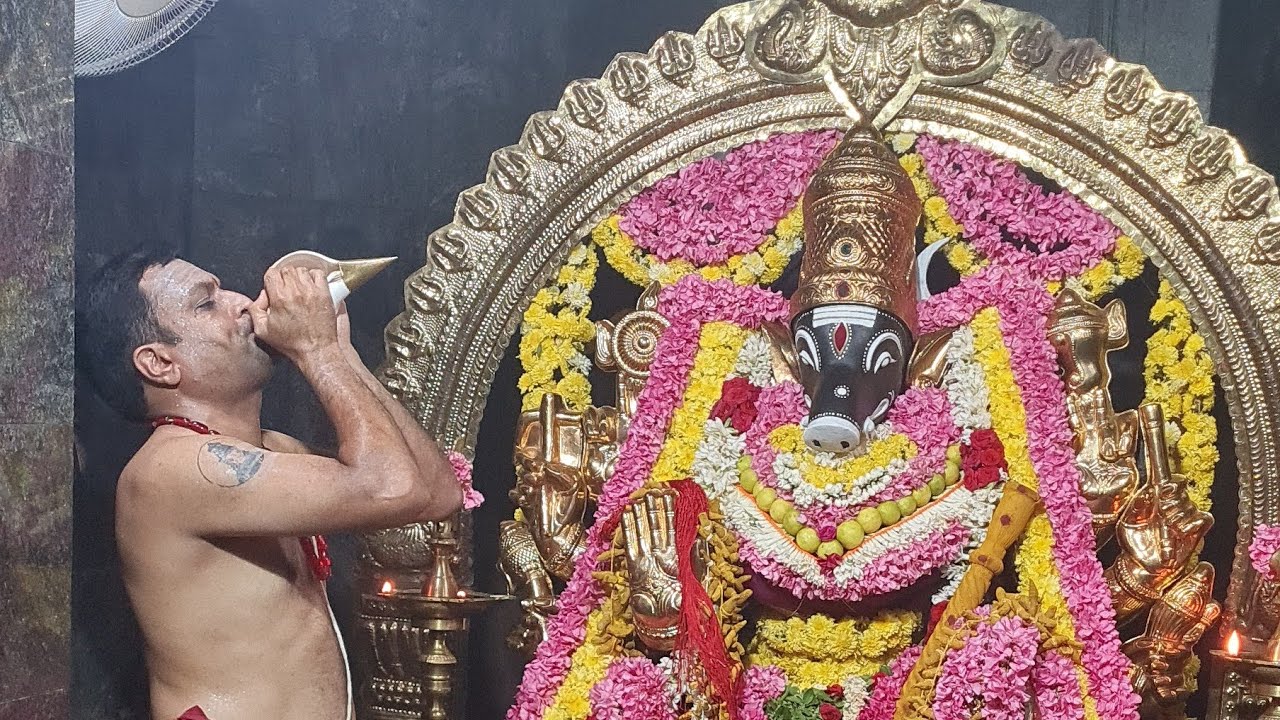 varahi amma Pooja at om shiri maha varahi peedam at arcot by varahideva ...