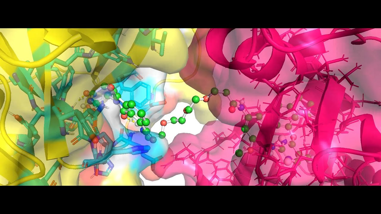 PROTACs design using AI & Computational Chemistry | PROTACs Services ...