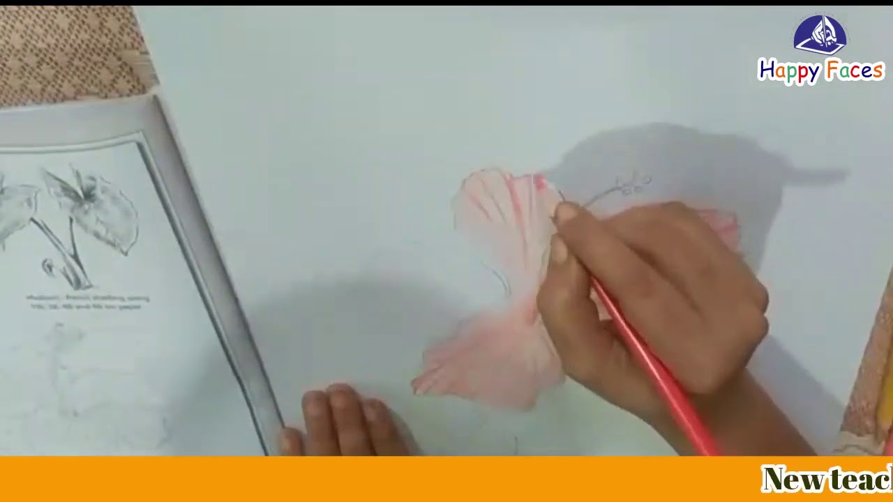 Grade 6 /Drawing/Nature Drawing - YouTube