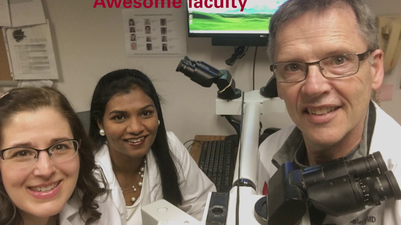 Consider a Career in Cytotechnology! - YouTube