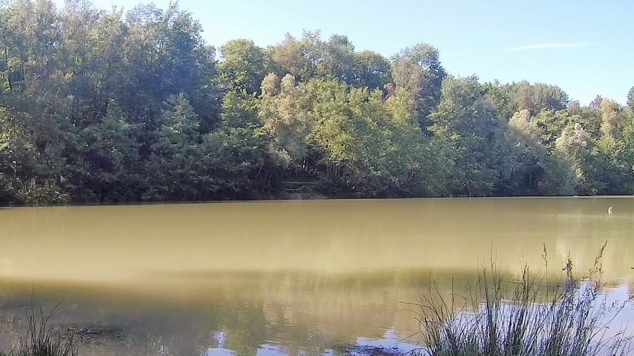 Forêt de Carnelle - Les Lacs - YouTube