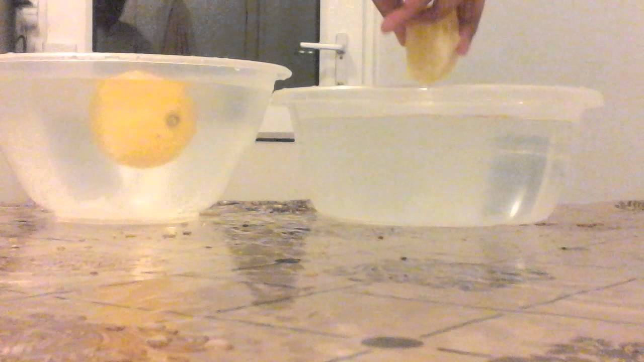 The Lemon Experiment! - YouTube