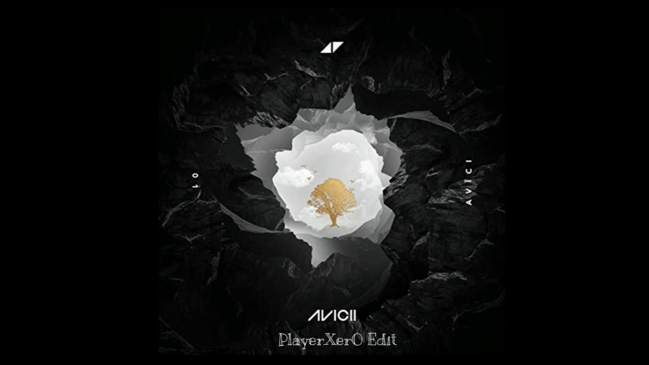 Avicii - You Be Love (Avicii Gravity HD) - YouTube