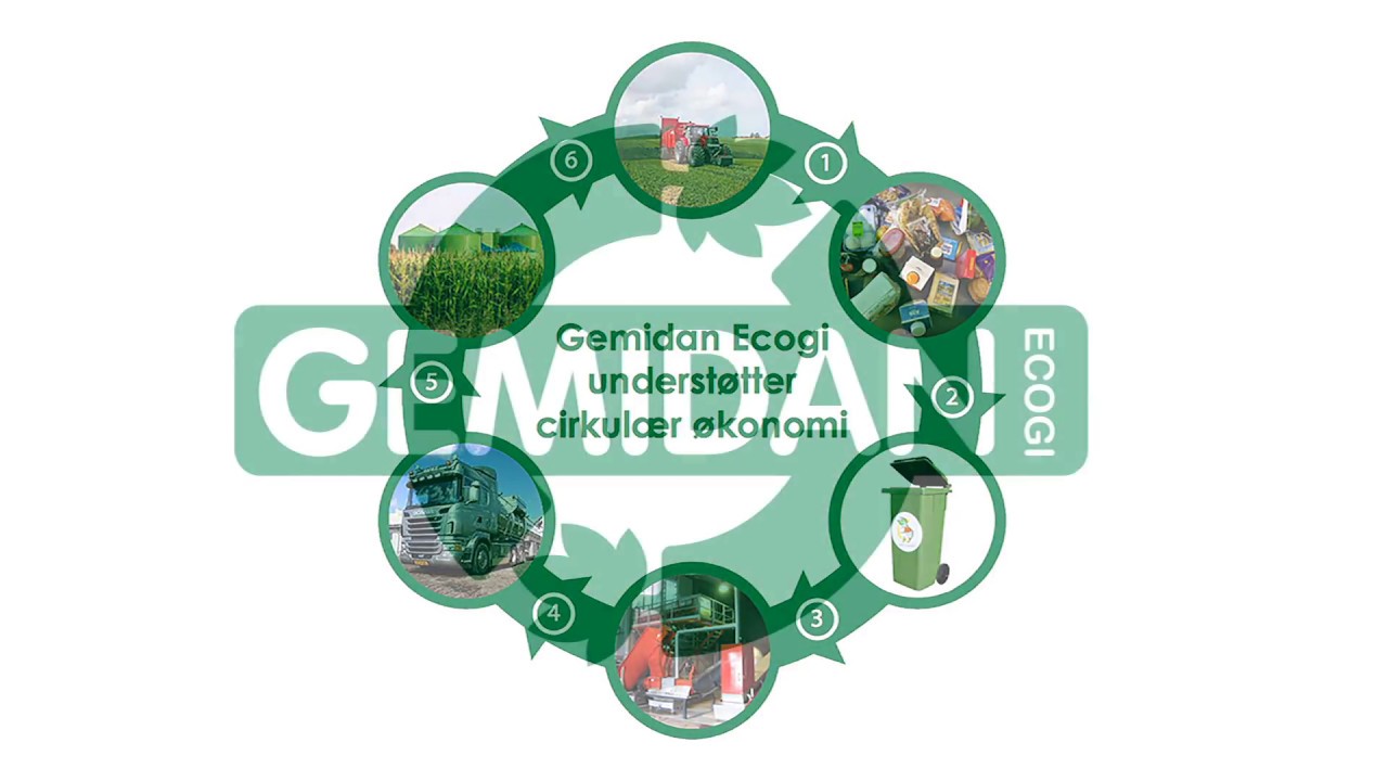 Gemidan - Ecogi System - YouTube