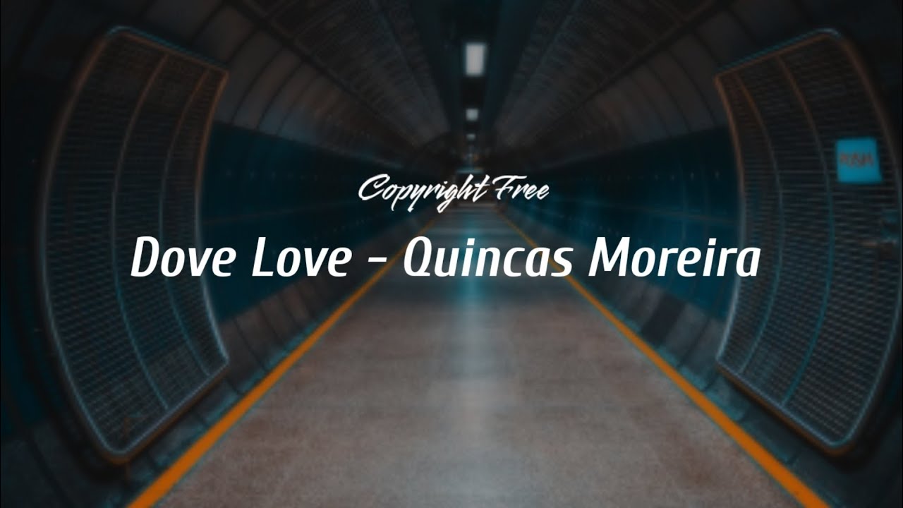 Dove Love - Quincas Moreira | No Copyright Music - YouTube