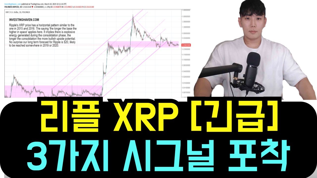 리플 Xrp 3가지 시그널 긴급 포착 Xrp 리플 Xrp전망 비트코인도미넌스 알트코인시즌 분할매수전략 크립토전략