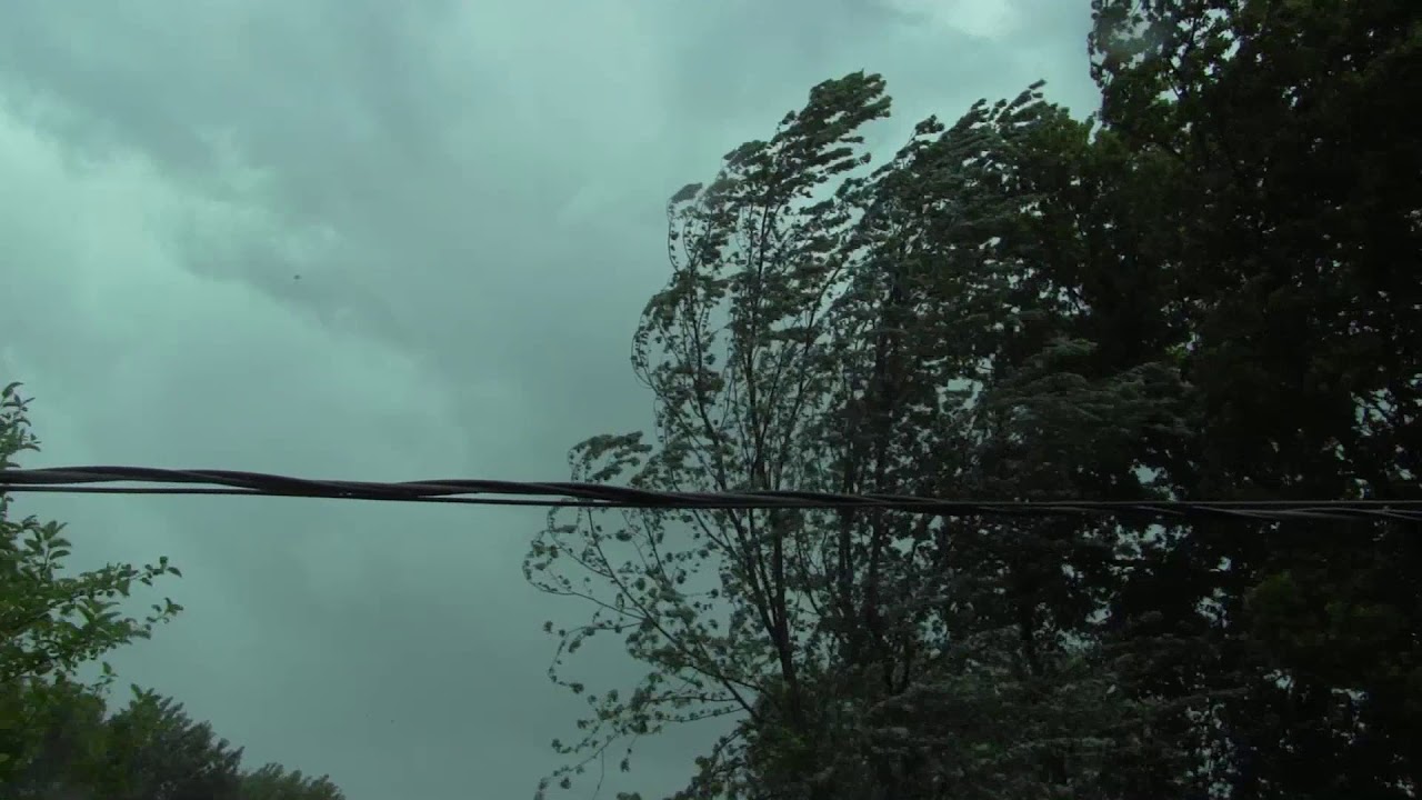 Very Strong Thunderstorm Winds and Minor Tree Damage - 07/05/2018 - YouTube