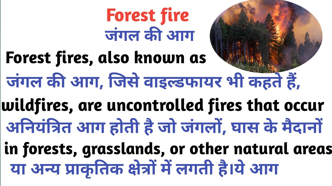 Forest fire paragraph का हिंदी अनुवाद/How to learn English/zero से ...