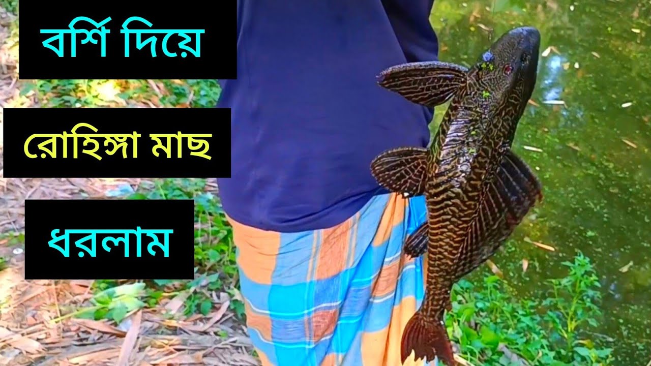Best Fishing Video | Sakar Fish Hunting By Hook | Village Fishing in ...