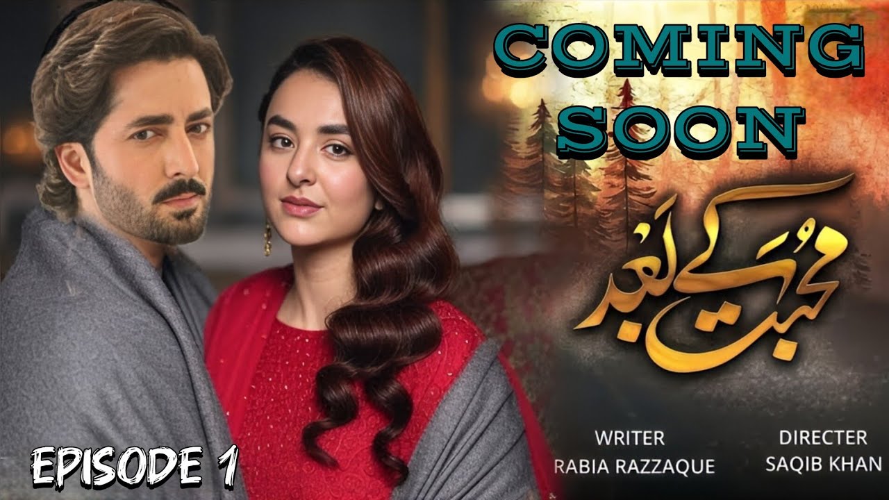Upcoming Pakistani Dramas 2025 | Danish Taimoor, Yumna Zaidi & Wahaj ...