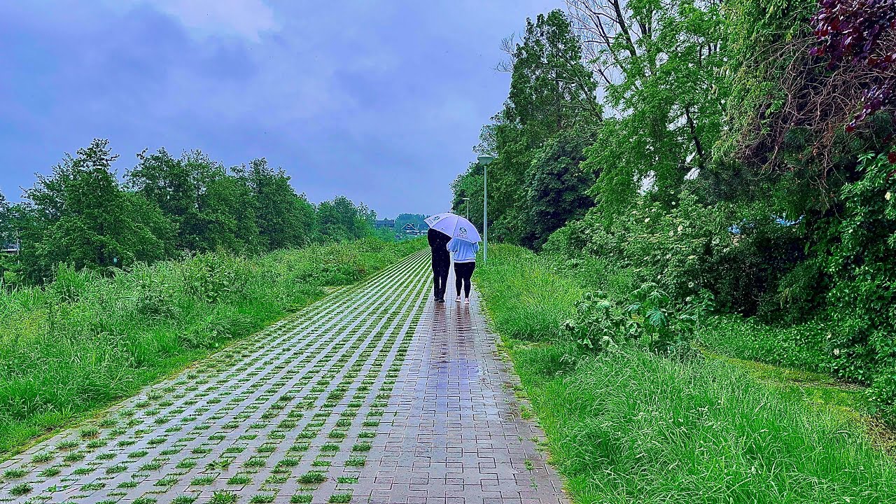 RELAXING RAIN WALK IN AMSTERDAM 4K | 🇳🇱 - YouTube